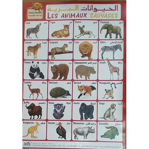 لوحات تعليمية الحيوانات البرية Posters Educatifs Les Animaux Sauvages ...